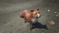 Fox (RDR 2) | Red Dead Wiki | Fandom