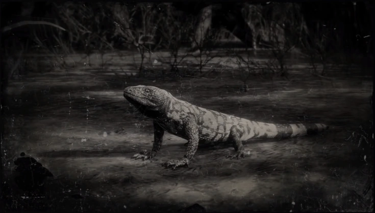 Gila Monster | Red Dead Wiki | Fandom