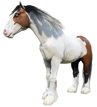 Gypsy Cob | Red Dead Wiki | Fandom