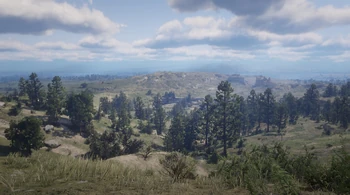 Cumberland Forest | Red Dead Wiki | Fandom