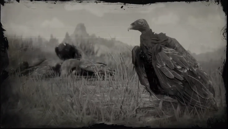 Vulture (RDR 2) | Red Dead Wiki | Fandom