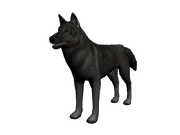 Wolf | Red Dead Wiki | Fandom