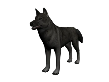 Wolf | Red Dead Wiki | Fandom