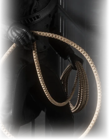 Lasso | Red Dead Redemption Wiki | Fandom