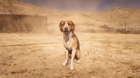 Dog (RDR2) | Red Dead Wiki | Fandom