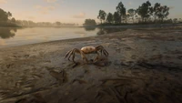 Crustaceans | Red Dead Wiki | Fandom