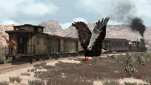 Birds in Redemption | Red Dead Wiki | Fandom