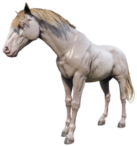 Andalusian | Red Dead Wiki | Fandom