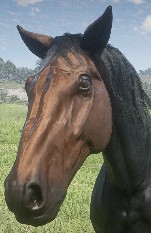 Cerberus | Red Dead Wiki | Fandom