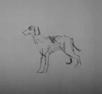 Dog (RDR2) | Red Dead Wiki | Fandom