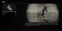Mule (RDR2) | Red Dead Wiki | Fandom