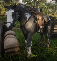 Javier Escuella | Red Dead Wiki | Fandom