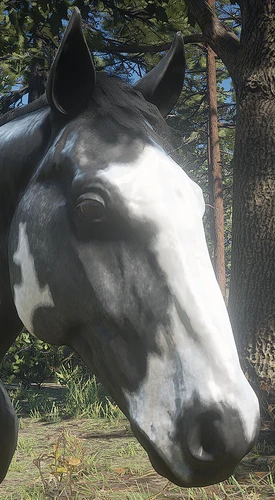 Boaz | Red Dead Wiki | Fandom