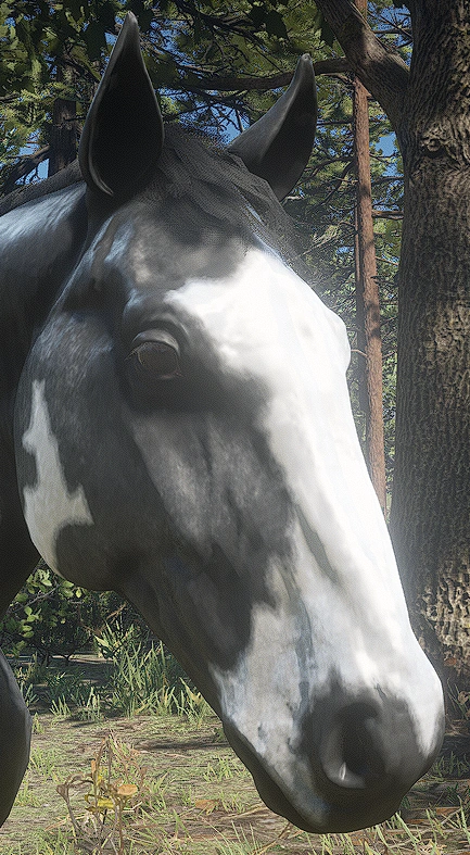 Boaz | Red Dead Wiki | Fandom