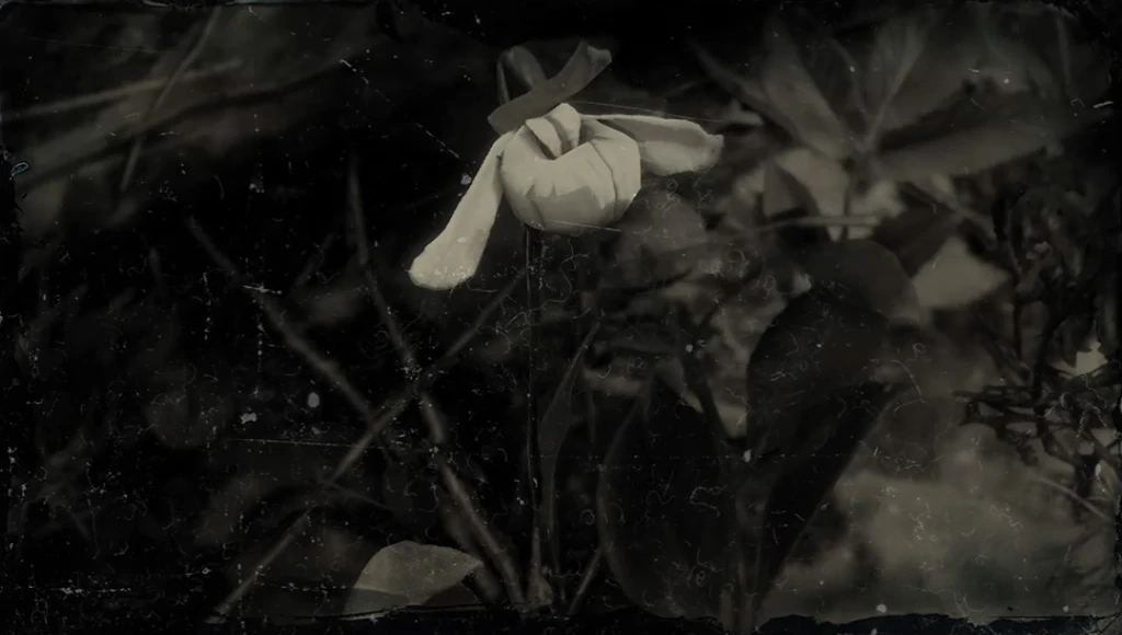 Sparrow Egg Orchid | Red Dead Wiki | Fandom