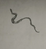 Snake (RDR 2) | Red Dead Wiki | Fandom