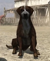 Dog | Red Dead Wiki | Fandom