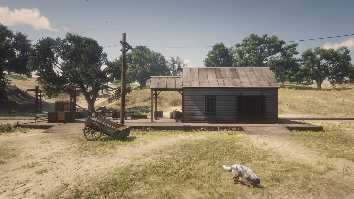 MacFarlane's Station | Red Dead Wiki | Fandom