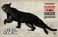 Cougar | Red Dead Wiki | Fandom