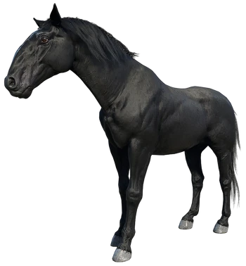 Kladruber | Red Dead Wiki | Fandom