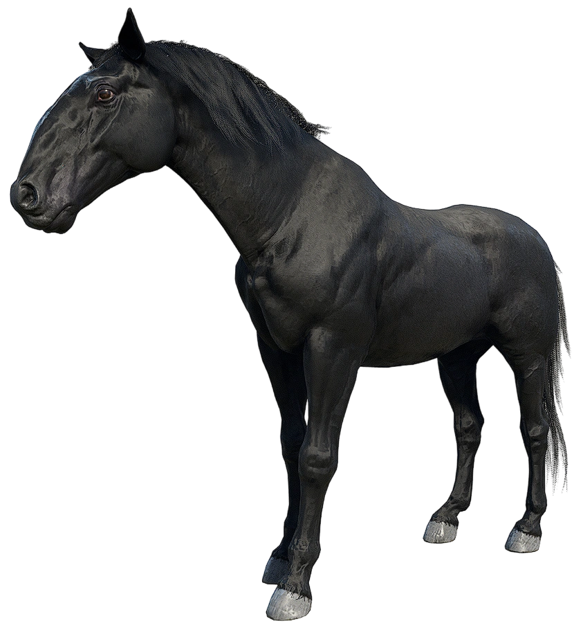 Kladruber | Red Dead Wiki | Fandom