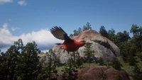 Songbird (RDR 2) | Red Dead Wiki | Fandom