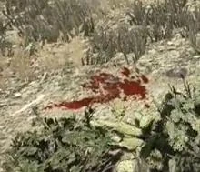 Beryl | Red Dead Wiki | Fandom