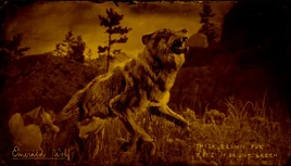 Legendary Emerald Wolf | Red Dead Wiki | Fandom