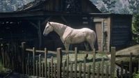 Buell | Red Dead Wiki | Fandom