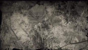Prairie Poppy | Red Dead Wiki | Fandom