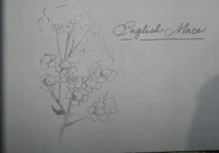 English Mace | Red Dead Wiki | Fandom