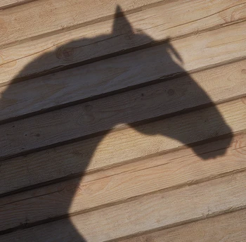 Boadicea | Red Dead Wiki | Fandom