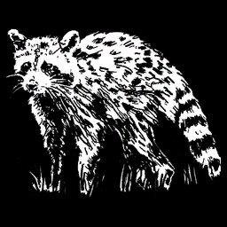 Raccoon Fur | Red Dead Wiki | Fandom