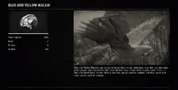 Parrot | Red Dead Wiki | Fandom