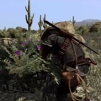 Salvia del desierto | Red Dead Wiki | Fandom
