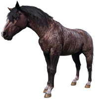 Criollo | Red Dead Wiki | Fandom