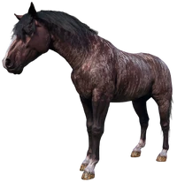 Criollo | Red Dead Wiki | Fandom