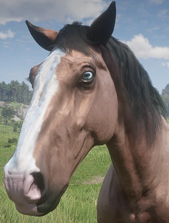 Ennis | Red Dead Wiki | Fandom