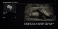 Turtle | Red Dead Wiki | Fandom