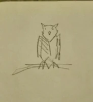 Owl (RDR 2) | Red Dead Wiki | Fandom