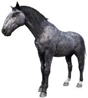 Kladruber | Red Dead Wiki | Fandom