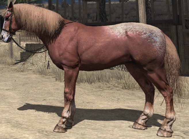 Painted Quarter Horse | Red Dead Wiki | Fandom