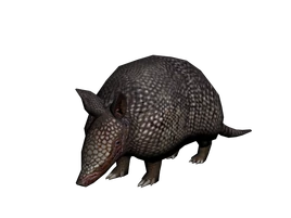 Armadillo (Animal) | Red Dead Wiki | Fandom