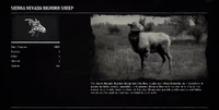 Bighorn (RDR 2) | Red Dead Wiki | Fandom
