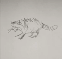 Raccoon (RDR 2) | Red Dead Wiki | Fandom