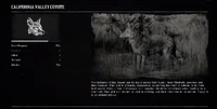 Coyote (RDR 2) | Red Dead Wiki | Fandom