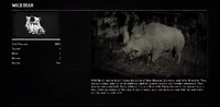 Boar (RDR 2) | Red Dead Wiki | Fandom