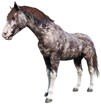 Criollo | Red Dead Wiki | Fandom