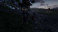 Cat | Red Dead Wiki | Fandom