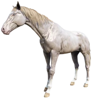 Turkoman | Red Dead Wiki | Fandom